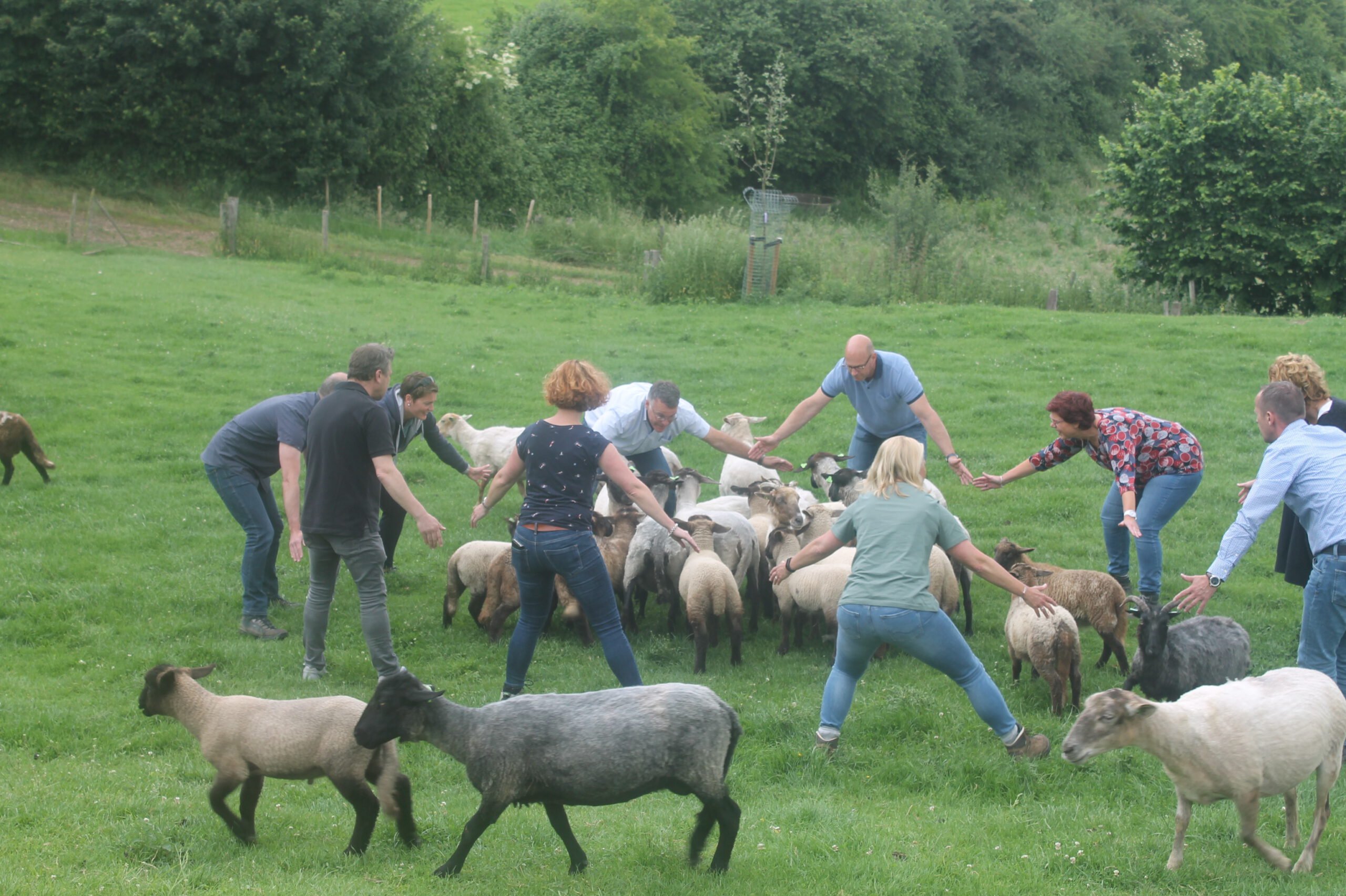 Actief in Vijlen - Vijlen, het bergdorpje van Nederland